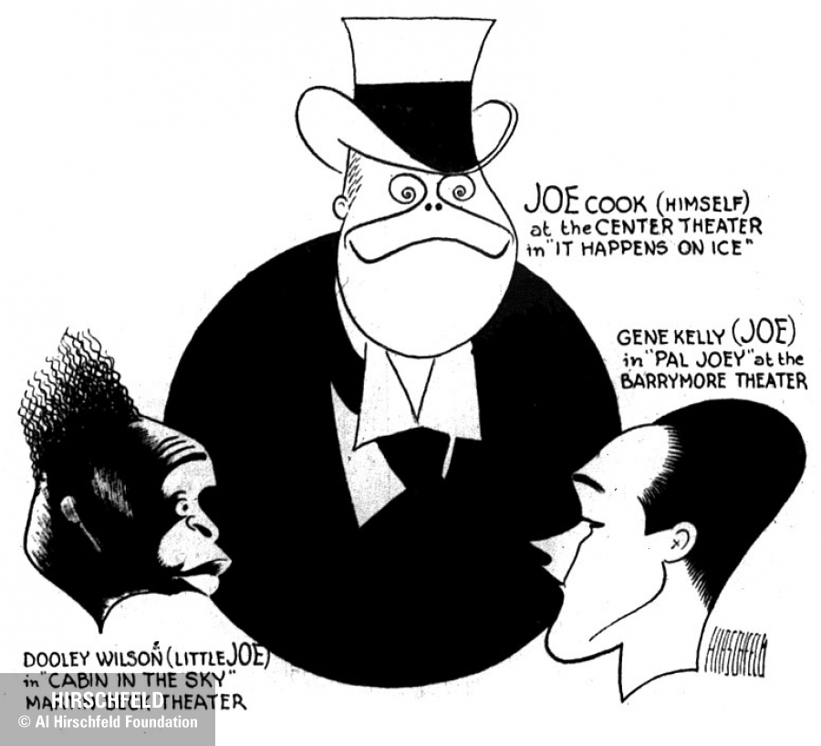 JOE COOK | alhirschfeldfoundation.org